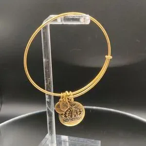 Alex and Ani | Jewelry | Alex And Ani Queens Crown 26 Braclet Rafaelian ...